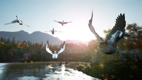 Hunting simulator 2 nintendo switch release date store