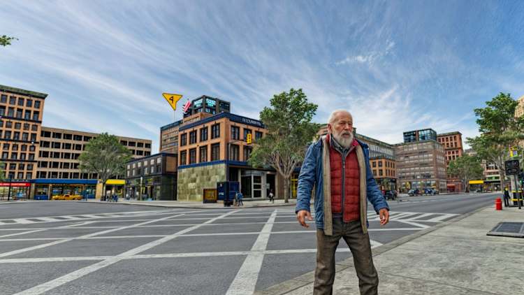 street view walking simulator