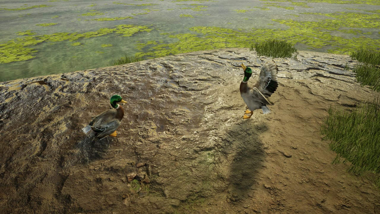 Animal Doctor for Nintendo Switch - Nintendo Official Site for Canada