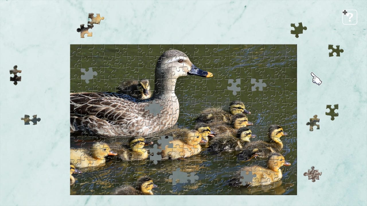 Animal Families for Nintendo Switch - Nintendo Official Site