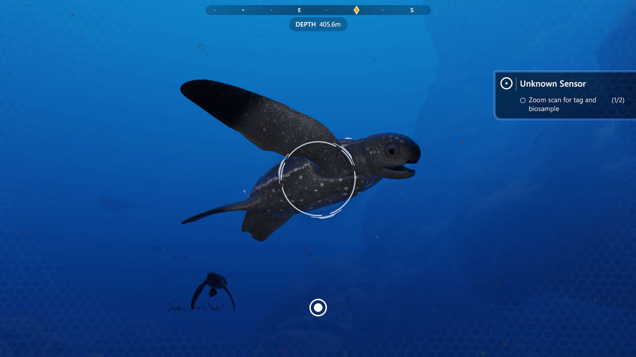 Beyond Blue for Nintendo Switch - Nintendo Official Site