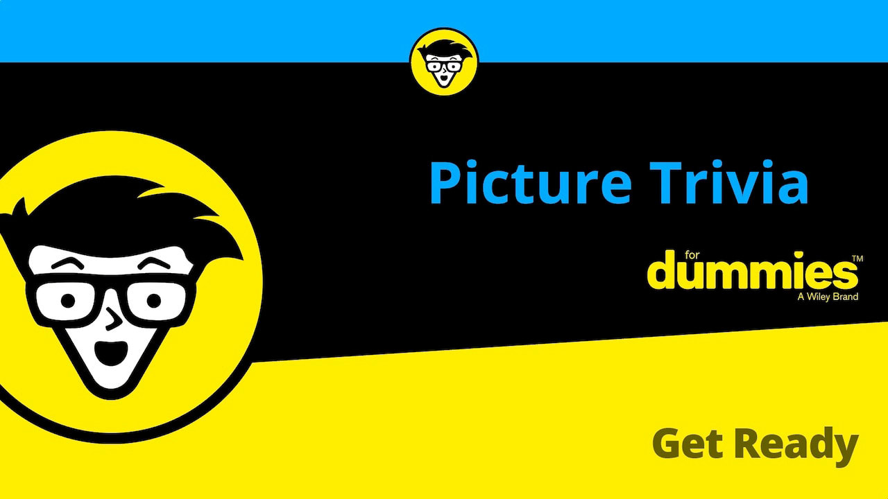 Trivia For Dummies™ for Nintendo Switch - Nintendo Official Site