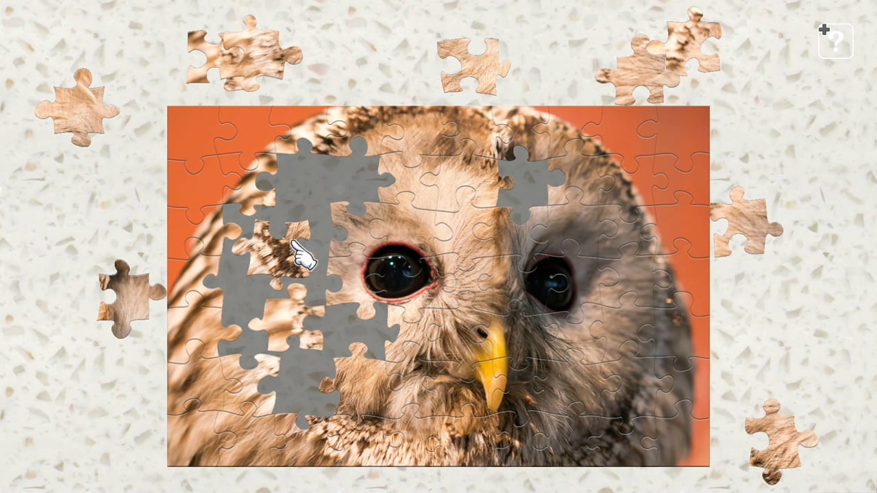 Owl para Nintendo Switch - Sitio Oficial de Nintendo para Mexico