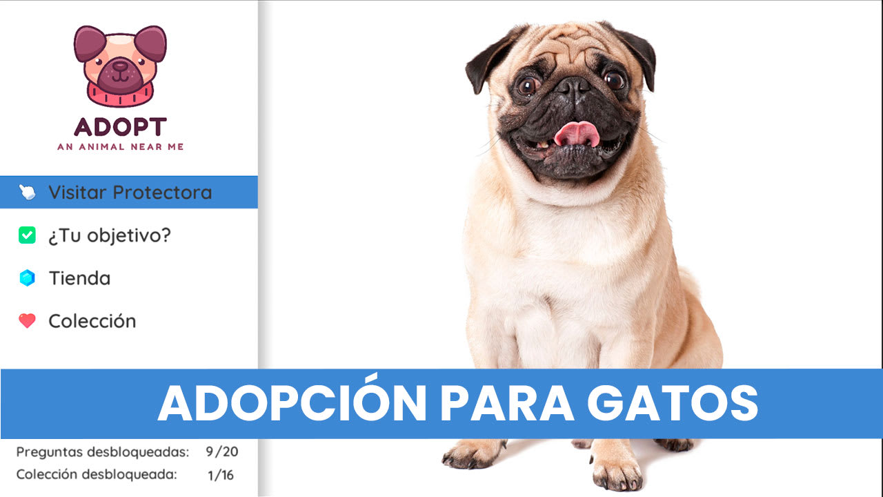 Adopt an Animal Near Me para Nintendo Switch - Sitio Oficial de ...