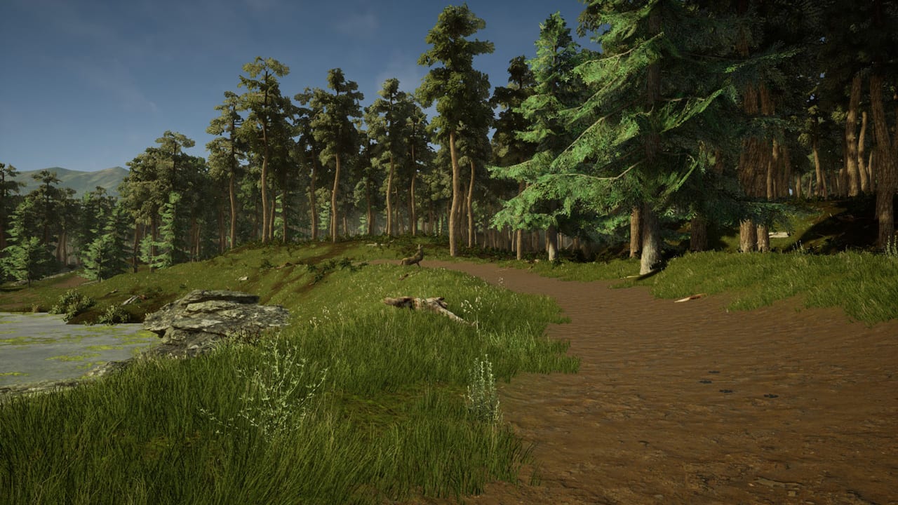 Animal Doctor para Nintendo Switch - Site Oficial da Nintendo para Brasil