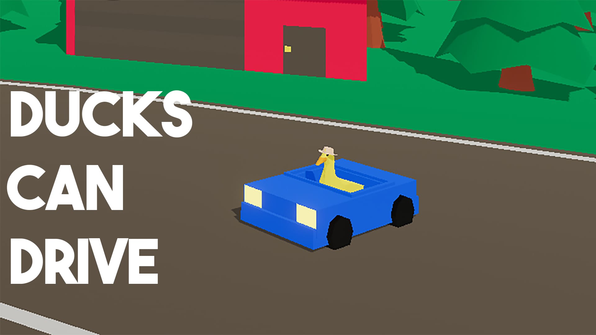 Ducks Can Drive for Nintendo Switch - Nintendo Official Site