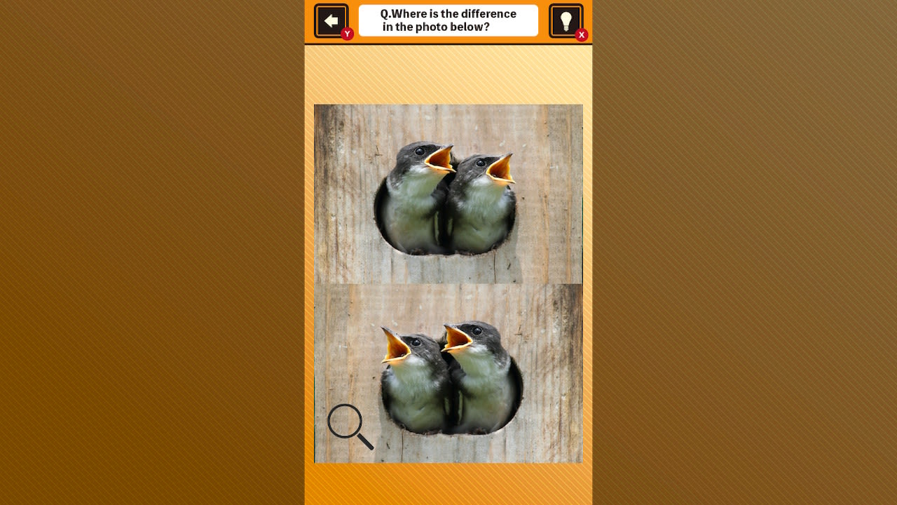 Train Your Brain! Spot the Difference with Animal Kids Photos for ...