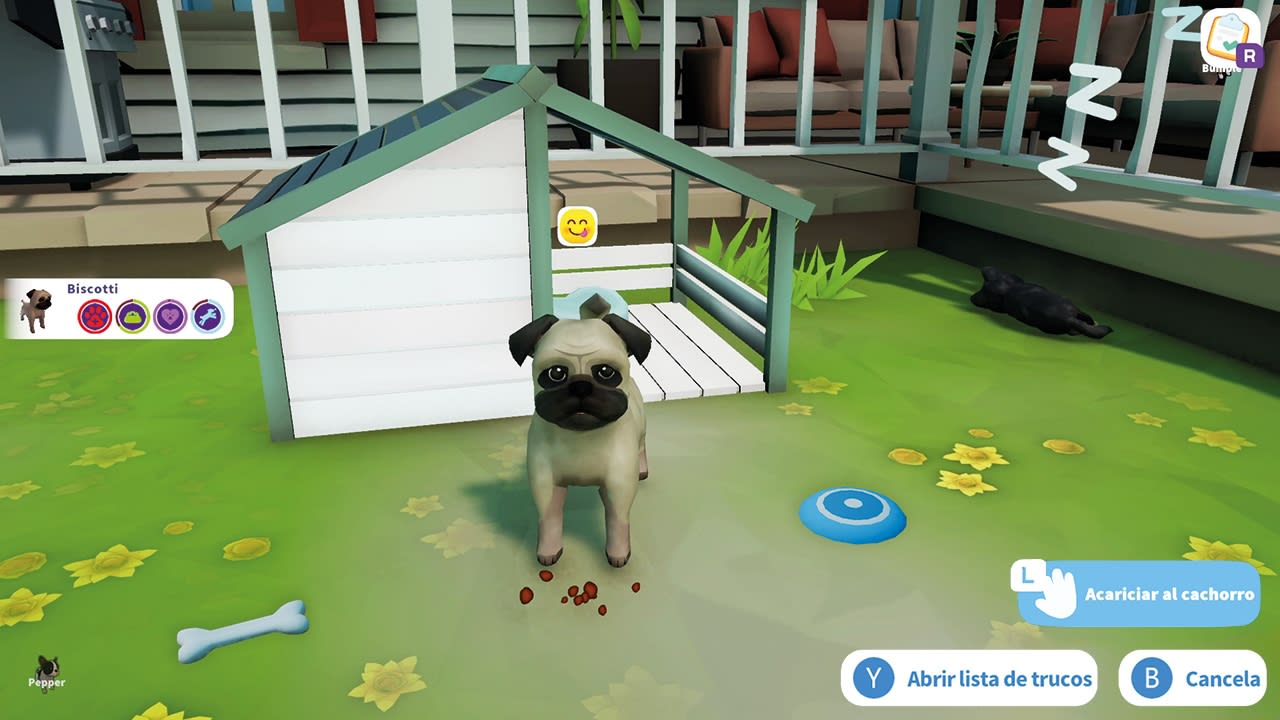 Cute Puppy Academy para Nintendo Switch - Sitio Oficial de Nintendo ...