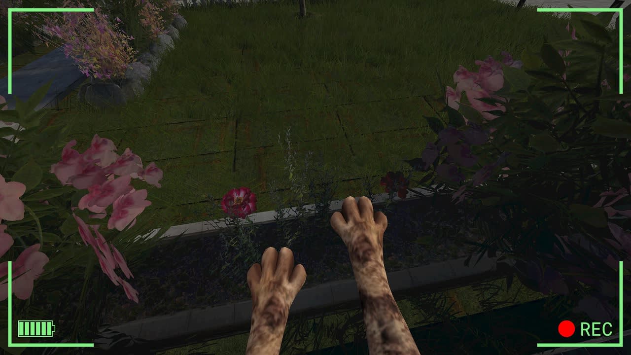 Bodycam Stray Kitty para Nintendo Switch - Sitio Oficial de Nintendo ...