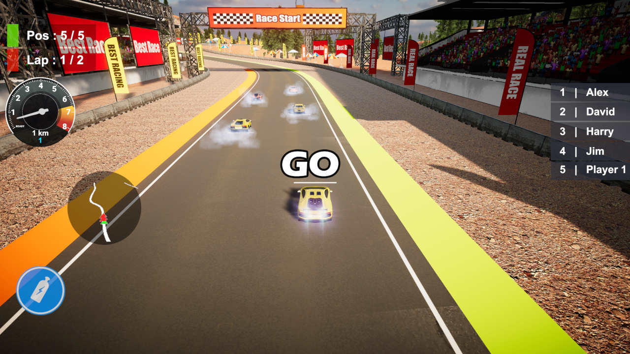Pro Virtual Racing for Nintendo Switch - Nintendo Official Site