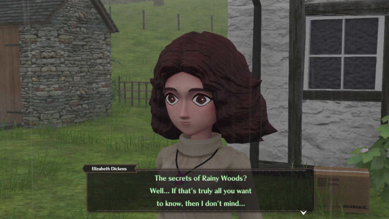 The Good Life - Behind the secret of Rainy Woods for Nintendo Switch ...