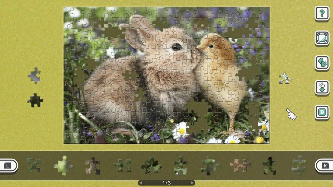 The Magical Bond Between Animals for Nintendo Switch - Nintendo ...