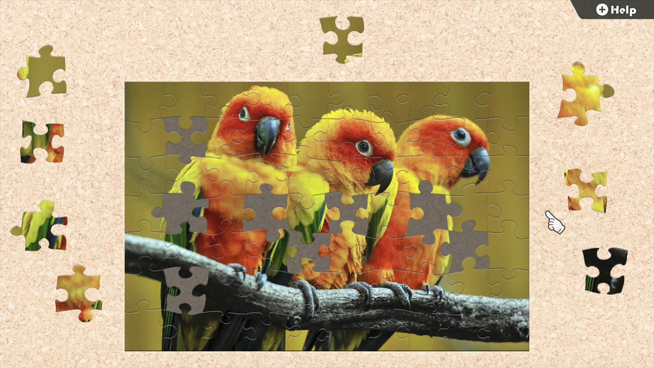 Birds in Vibrant Colors for Nintendo Switch - Nintendo Official Site