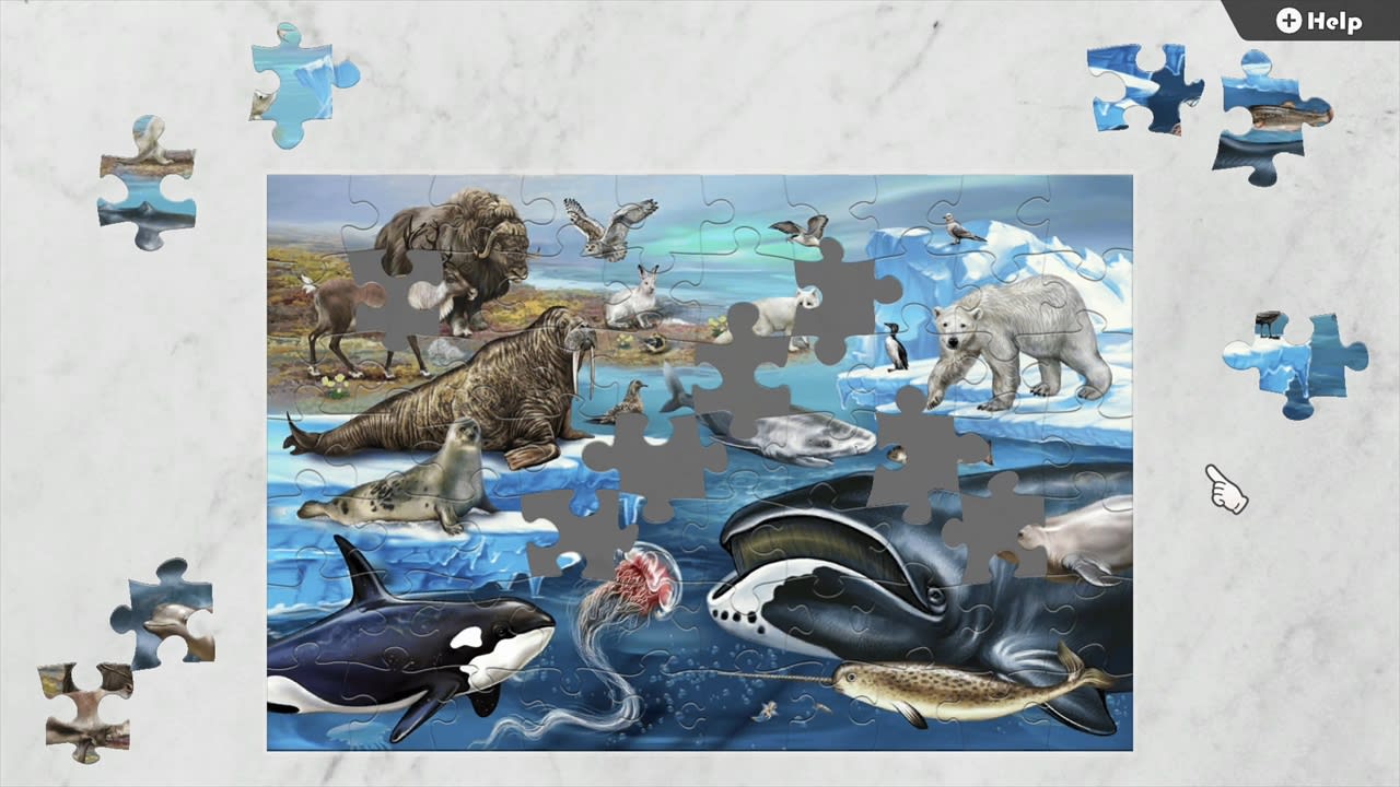 World Animal Clipart by Region para Nintendo Switch - Sitio Oficial de ...