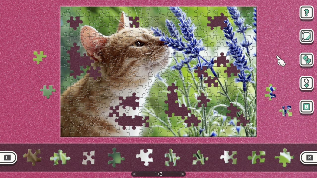 Additional Puzzle Pack Set Vol.7 for Nintendo Switch - Nintendo ...