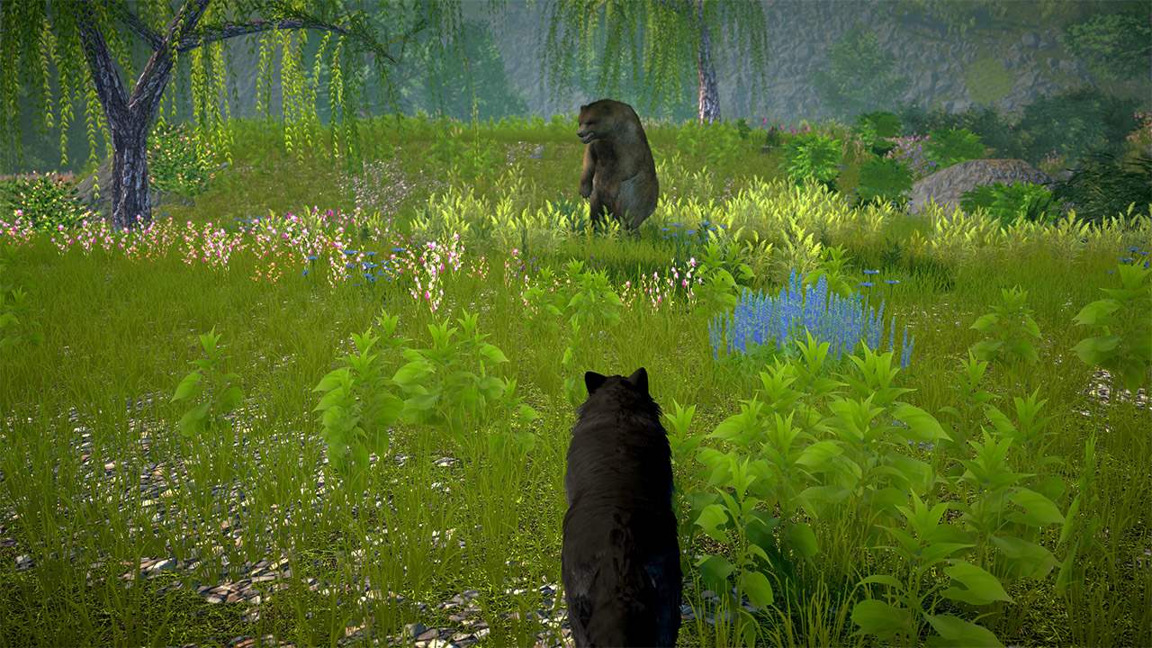 Wolf Simulator 2025: Wild RPG Survival for Nintendo Switch - Nintendo ...