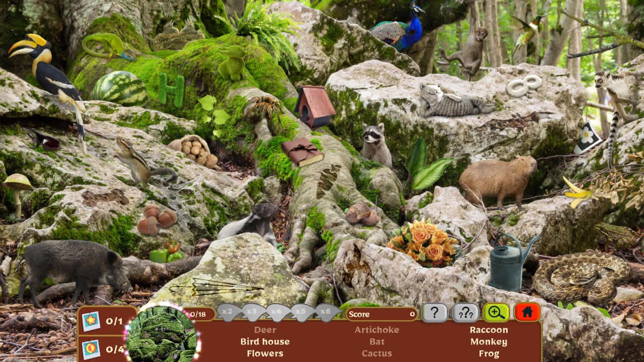 Nature Escapes 5 Collector's Edition for Nintendo Switch - Nintendo ...
