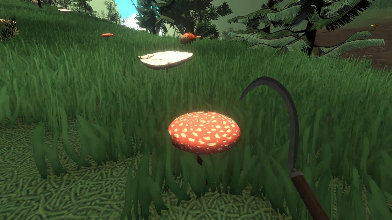 Forester Simulator 2026: Mushroom Hunting for Nintendo Switch ...