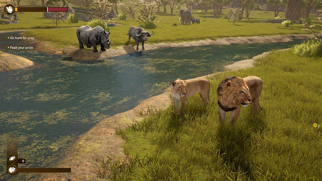 Lion Simulator RPG: Animal Battle Survival for Nintendo Switch ...
