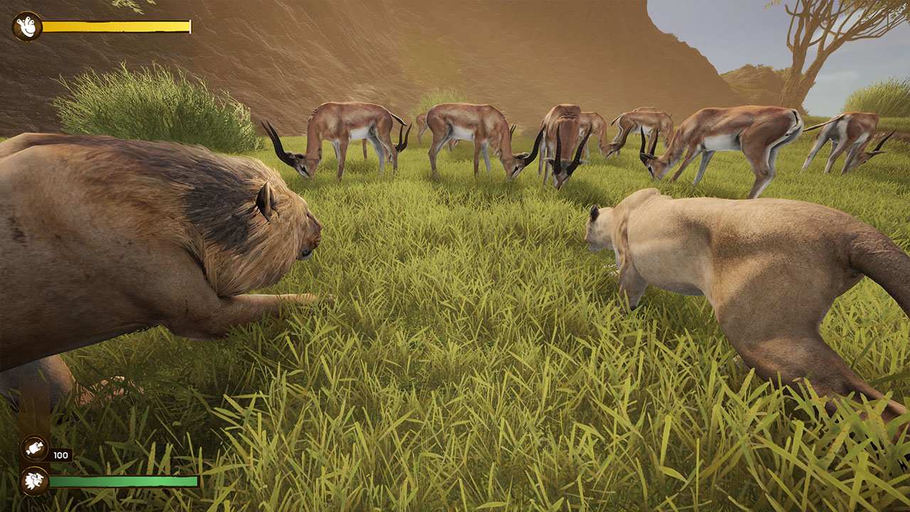 Lion Simulator RPG: Animal Battle Survival for Nintendo Switch ...