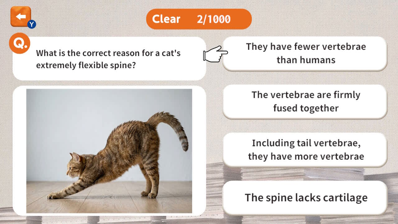 1000 Questions to Be Chosen by the Cat Lord for Nintendo Switch ...