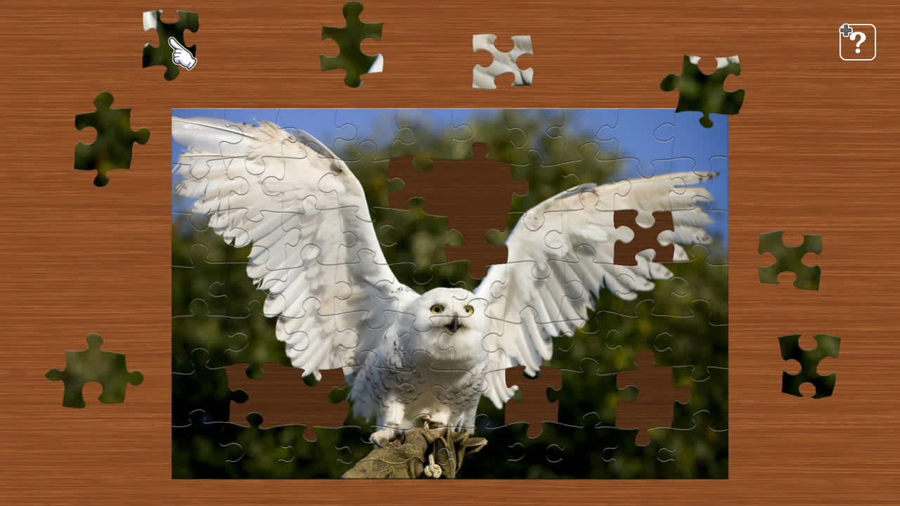 Owl for Nintendo Switch - Nintendo Official Site