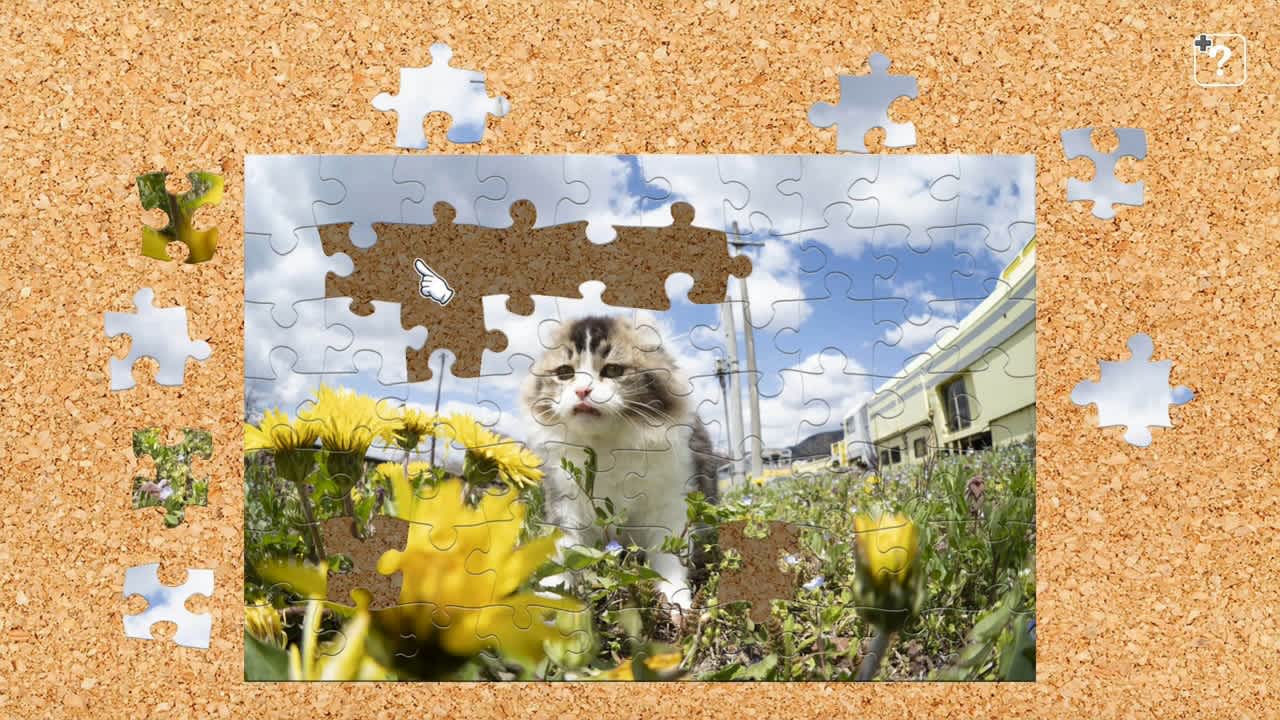 Station Master Cat in Japan / Kenta Igarashi for Nintendo Switch ...