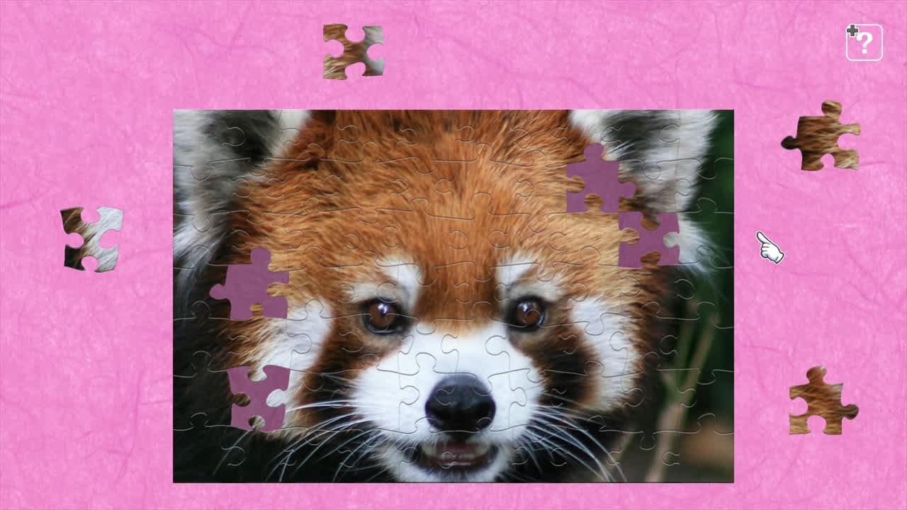 Close up Animals for Nintendo Switch - Nintendo Official Site