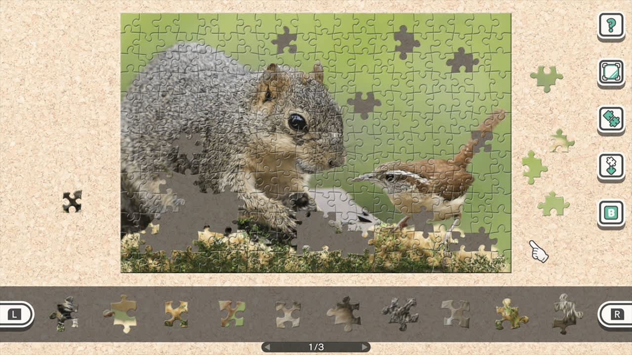The Magical Bond Between Animals for Nintendo Switch - Nintendo ...