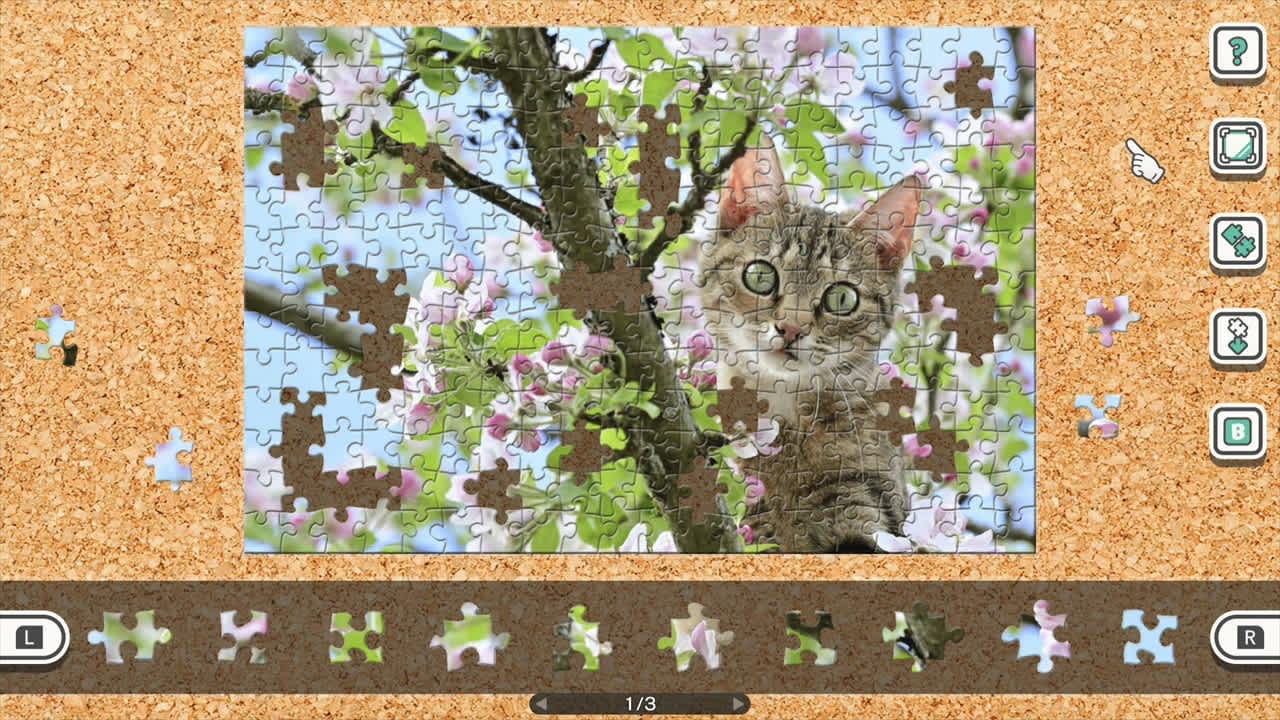 Cats with Flowers for Nintendo Switch - Nintendo Official Site