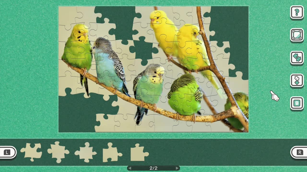 Birds in Vibrant Colors para Nintendo Switch - Sitio Oficial de ...