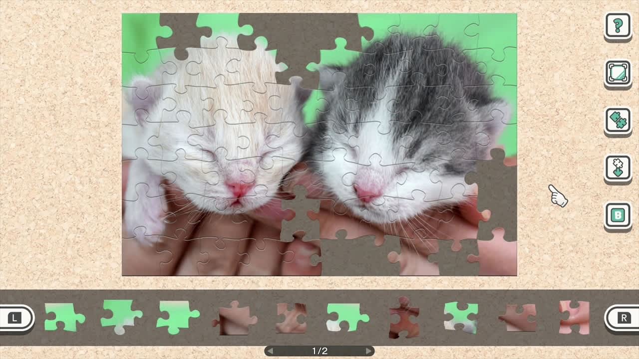 Kittens’ Day for Nintendo Switch - Nintendo Official Site for Canada