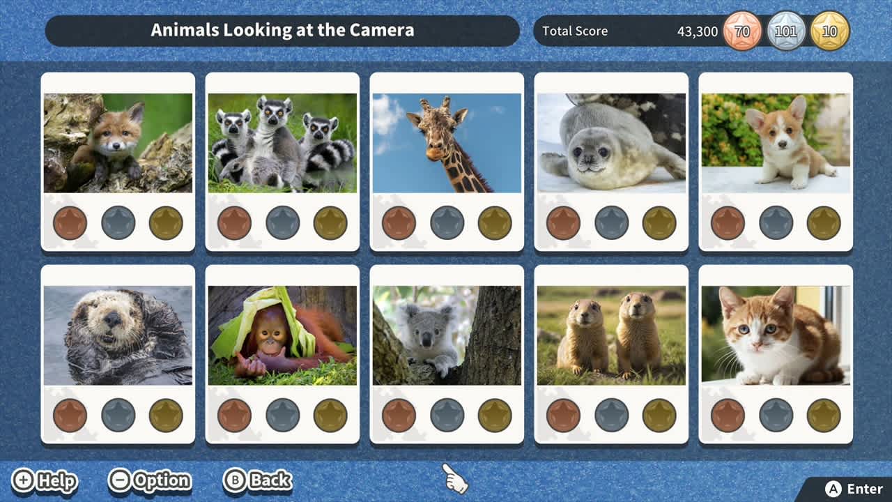 Animals Looking at the Camera para Nintendo Switch - Site Oficial da ...