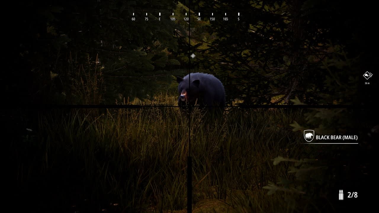 Hunting Simulator 2 - Bear Hunter Edition for Nintendo Switch ...