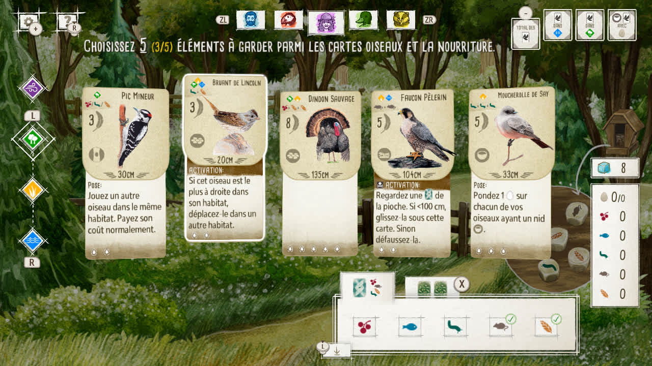 Birds and Cats pour Nintendo Switch - Site Officiel Nintendo pour Canada