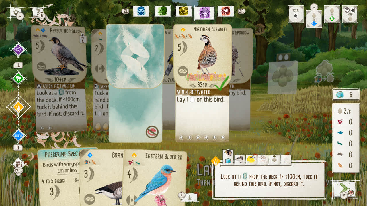 Birds and Cats for Nintendo Switch - Nintendo Official Site