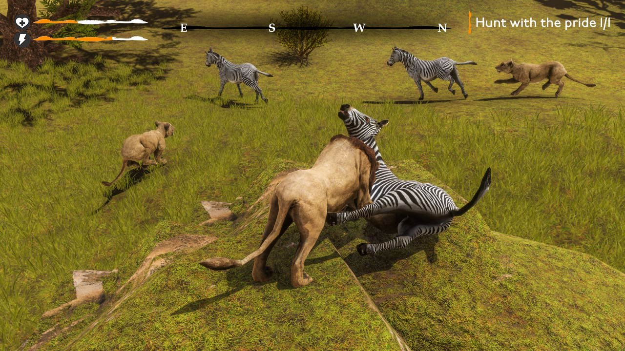 Lion Simulator Survival: RPG Animal Battle – Dominant Predator pour ...