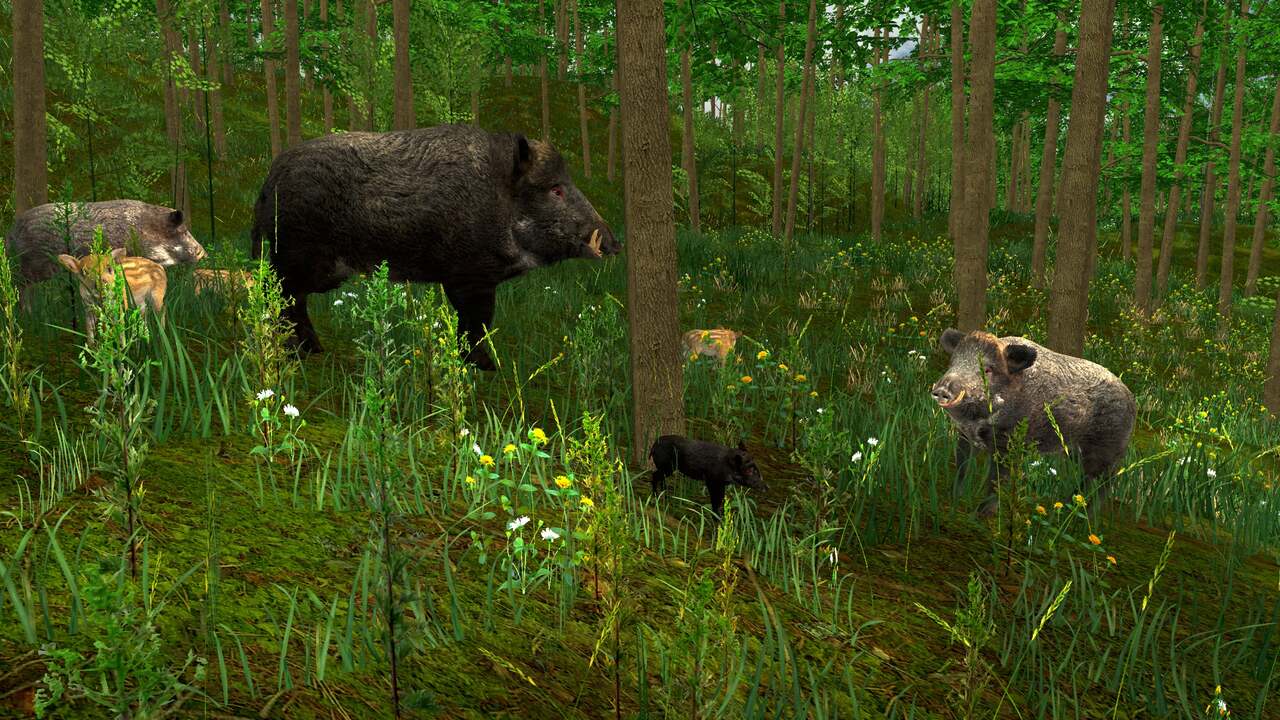 Hunter Simulator: Wild Hunting – Wild Arsenal for Nintendo Switch ...