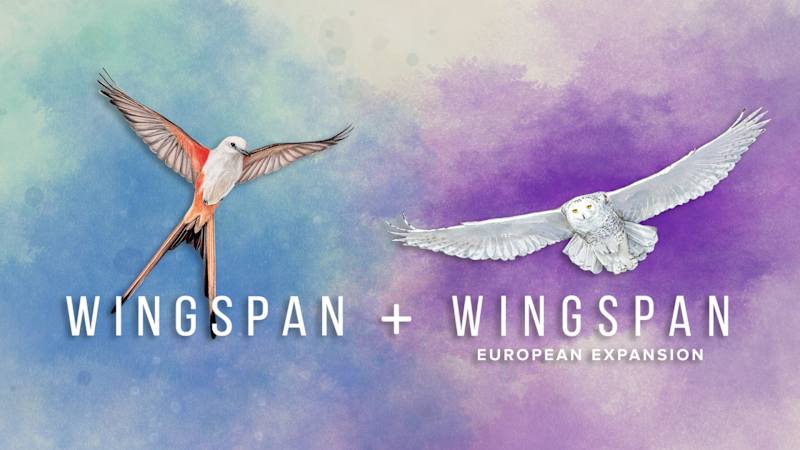 Wingspan + European Expansion | NSG Reviews