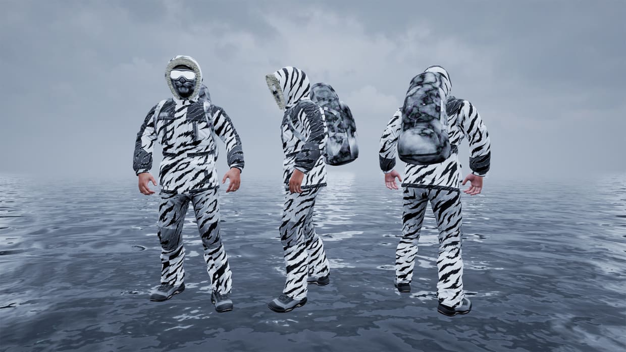 Tiger Skin Pack for Nintendo Switch - Nintendo Official Site