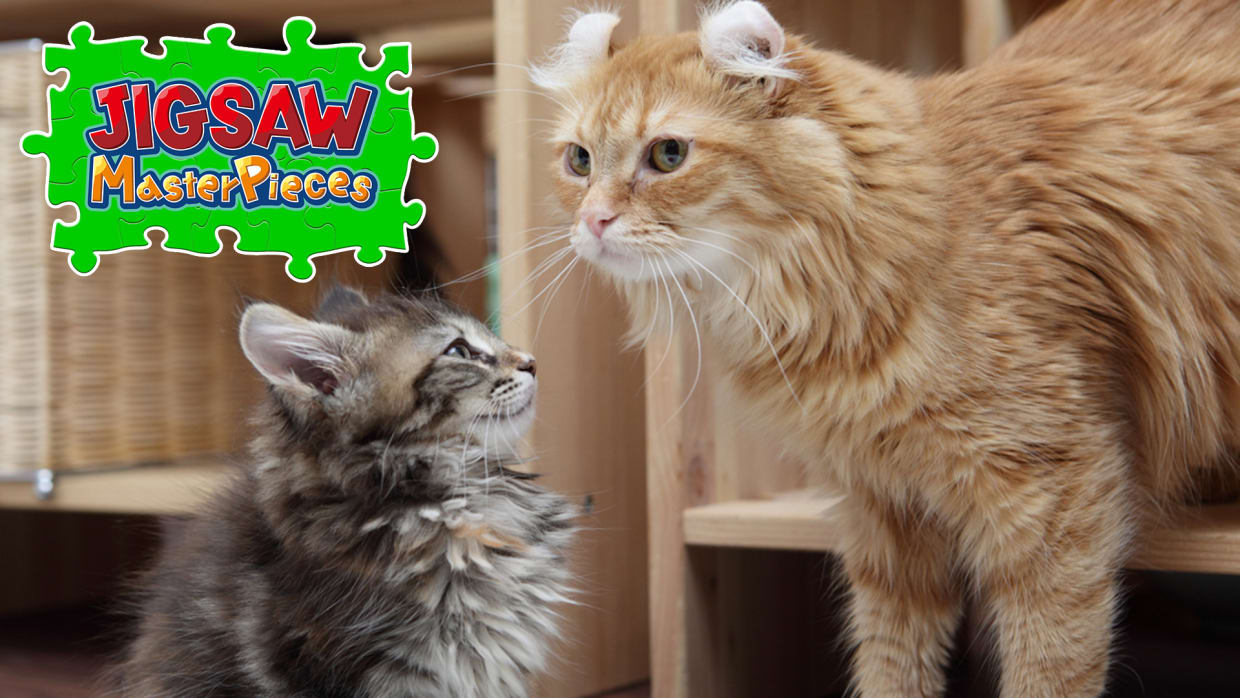 Cat Breeds for Nintendo Switch - Nintendo Official Site