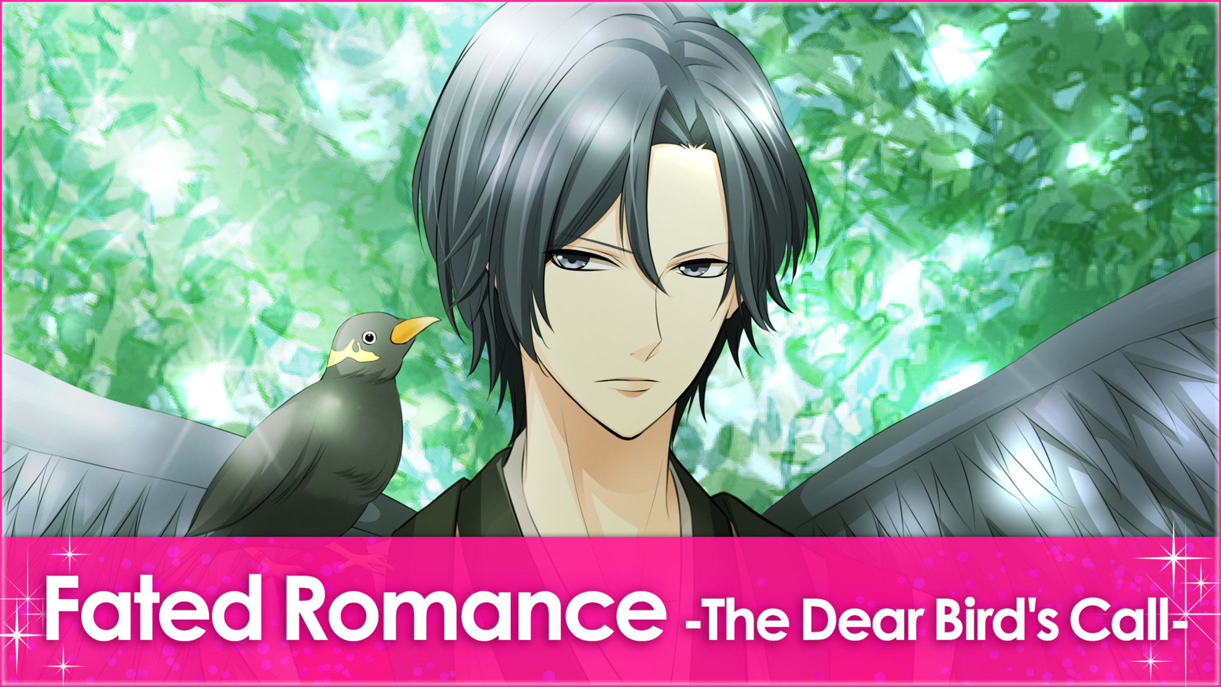 Fated Romance -The Dear Bird's Call- for Nintendo Switch - Nintendo ...