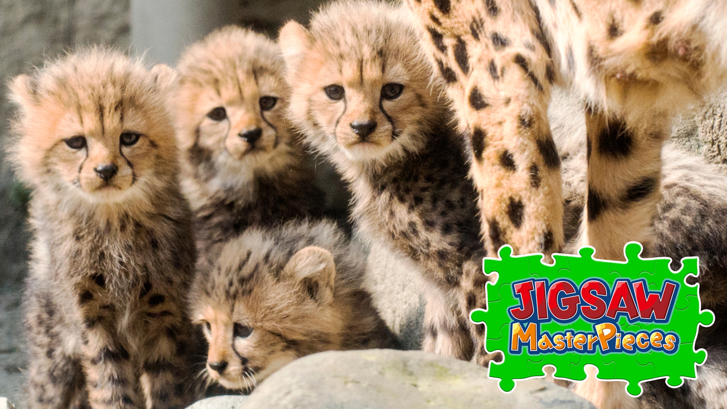 Baby Animals for Nintendo Switch - Nintendo Official Site for Canada