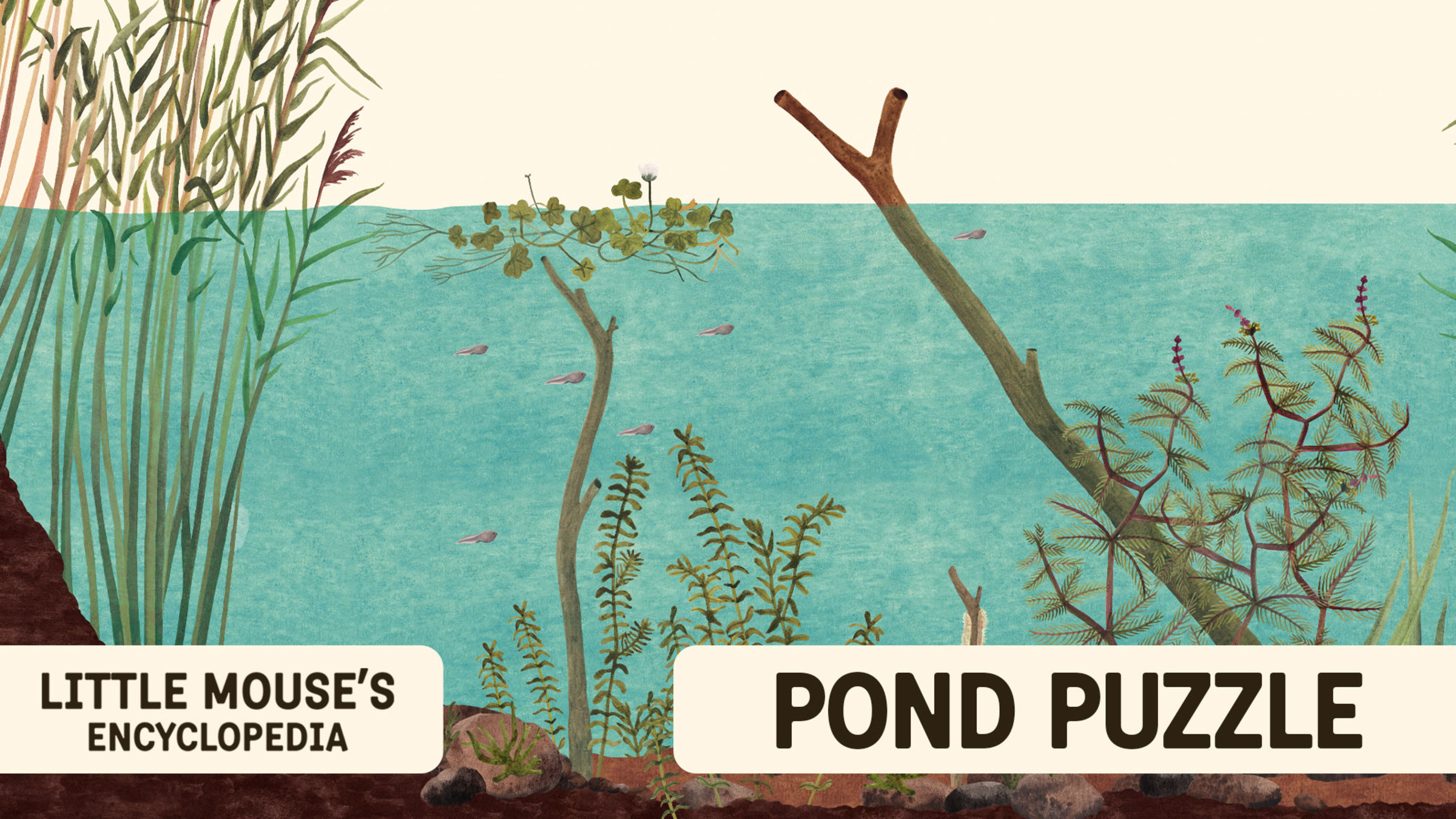 Pond Puzzle for Nintendo Switch - Nintendo Official Site
