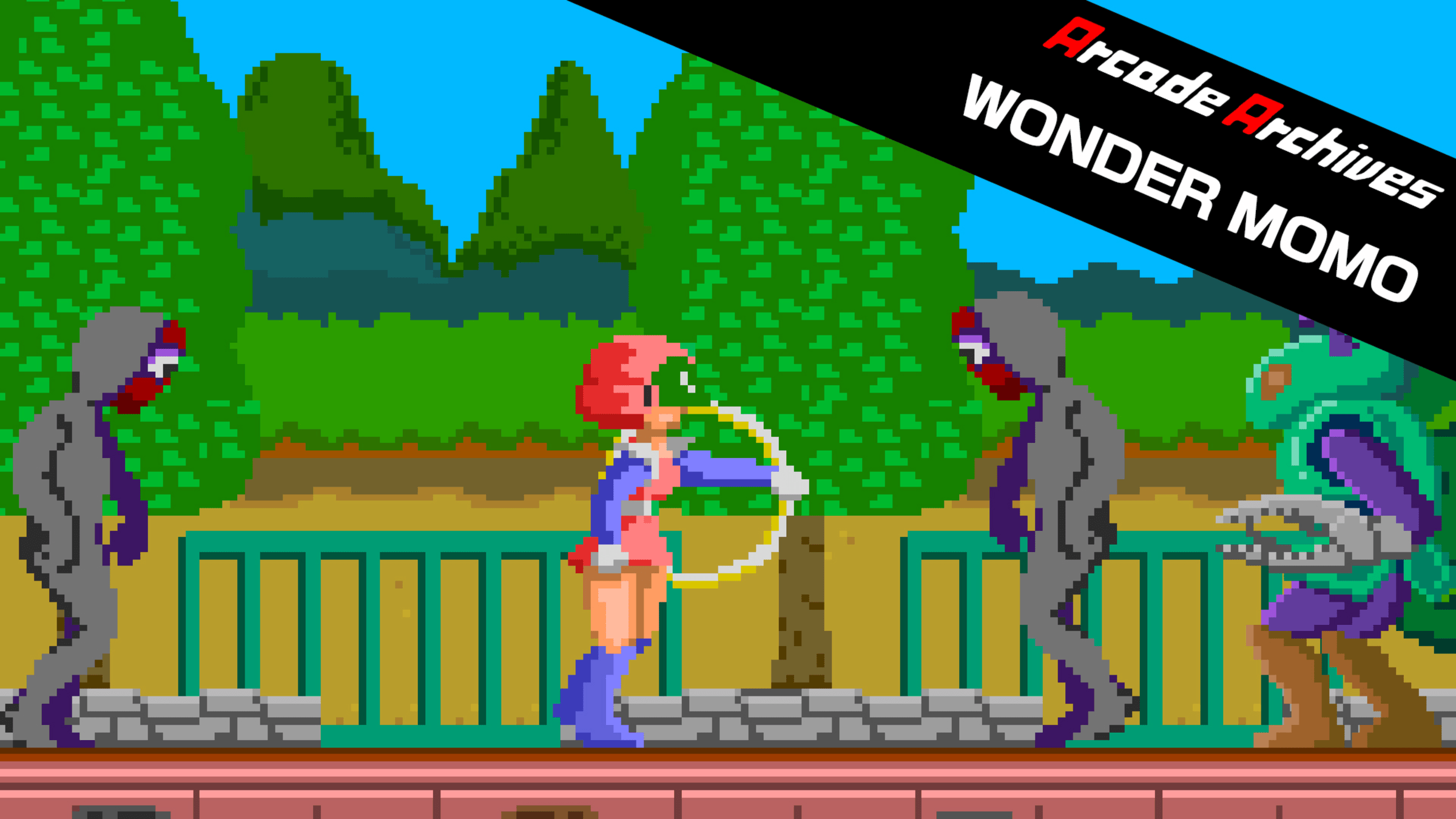 Arcade Archives WONDER MOMO for Nintendo Switch - Nintendo Official Site