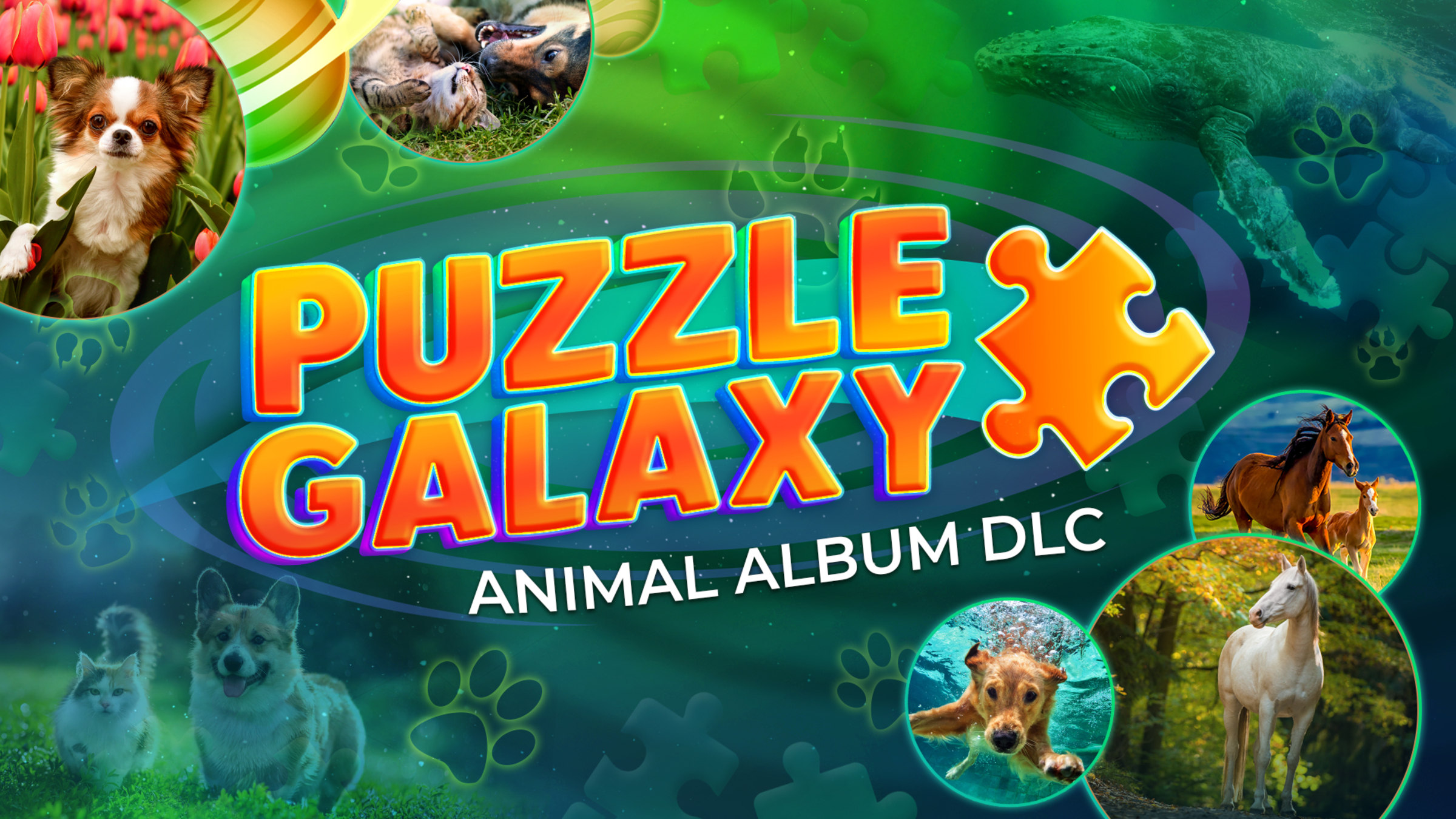 Puzzle Galaxy: Animal Album - 54 new puzzles para Nintendo Switch ...