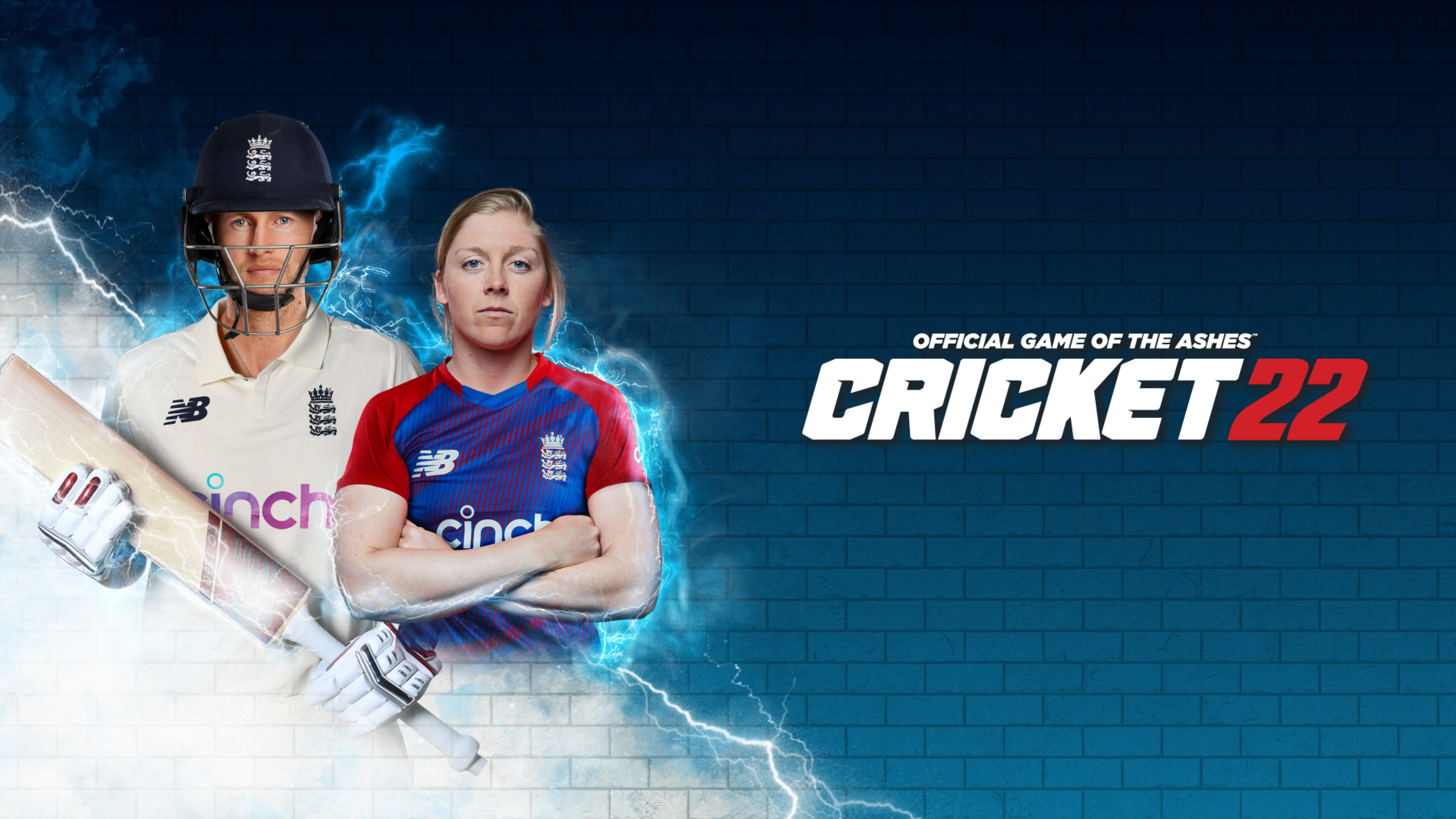 Cricket 22 The Official Game Of The Ashes for Nintendo Switch ...