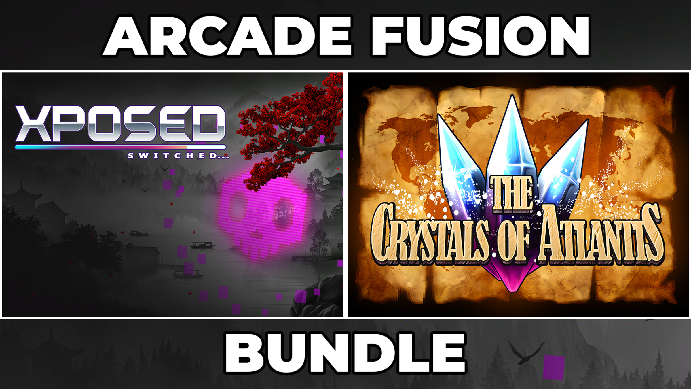 Arcade Fusion Bundle for Nintendo Switch - Nintendo Official Site for Canada