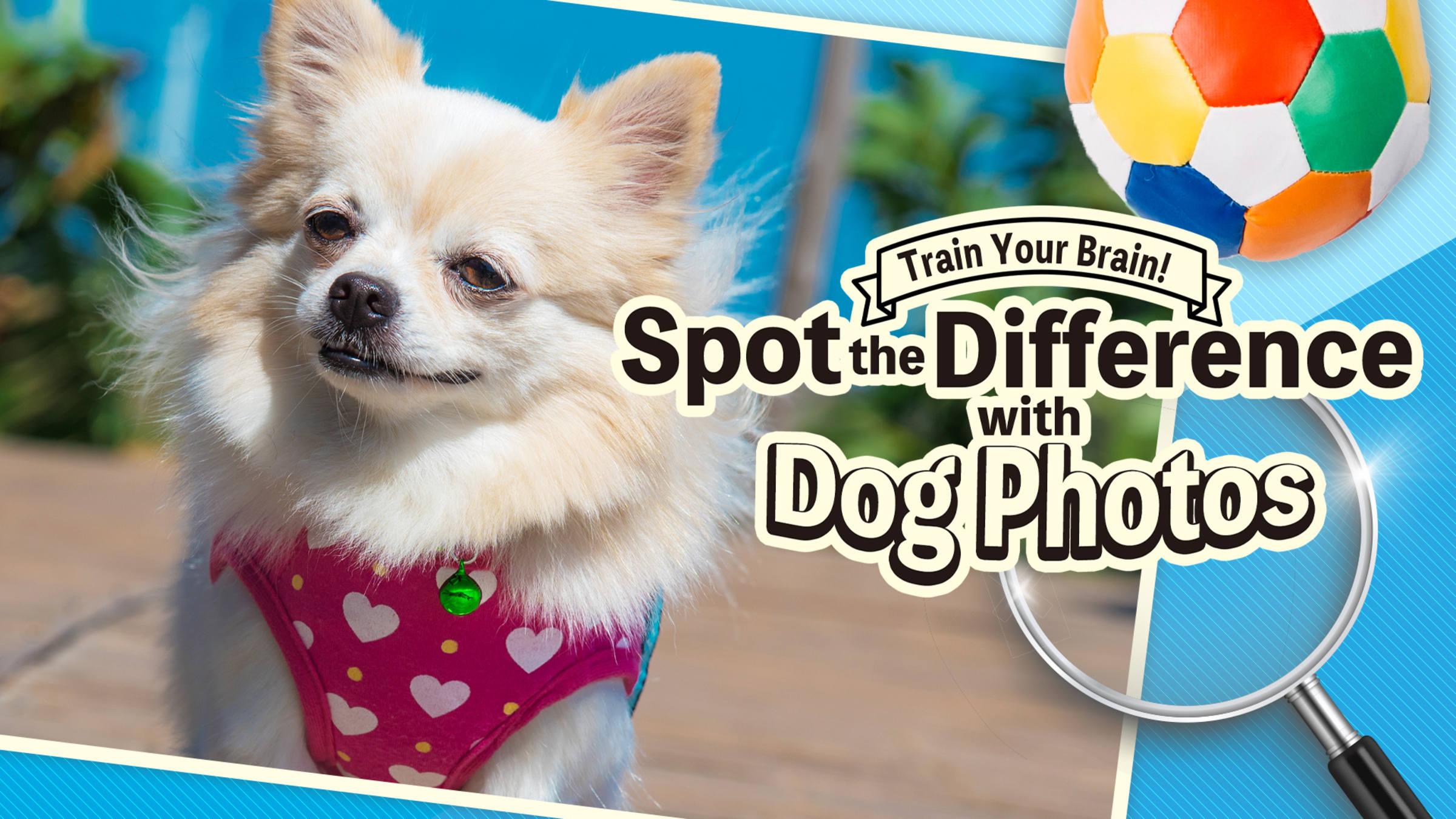 Train Your Brain! Spot the Difference with Dog Photos for Nintendo ...
