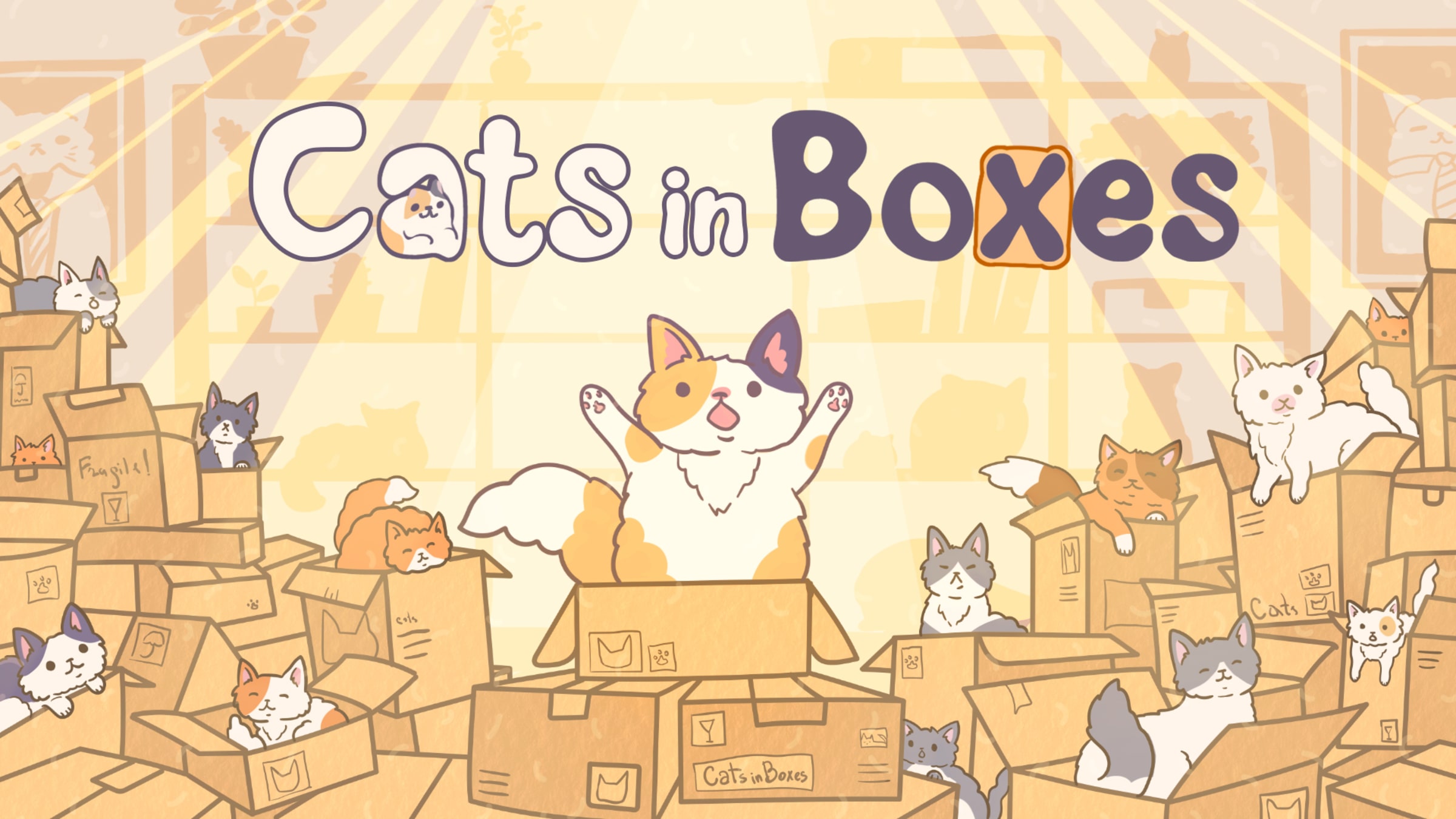 cats in boxes switch